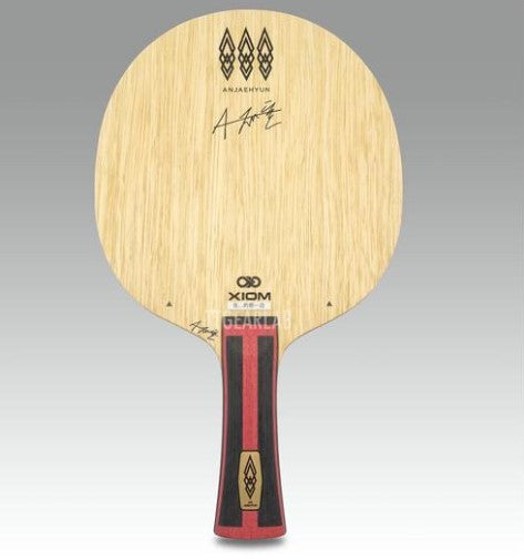 XIOM AN JAEHYUN TMX PRO – Winning Sports Table Tennis